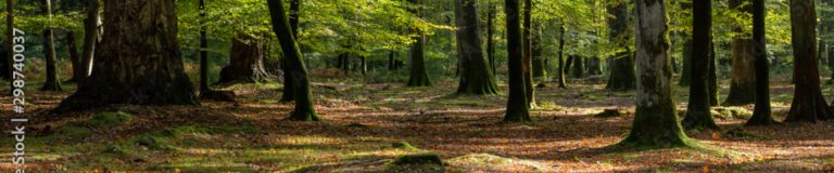 Investor Update - The Brandon Strategic Land Development LP (“the Fund ...