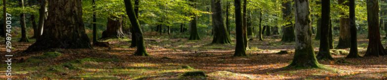 Investor Update - The Brandon Strategic Land Development LP (“the Fund ...